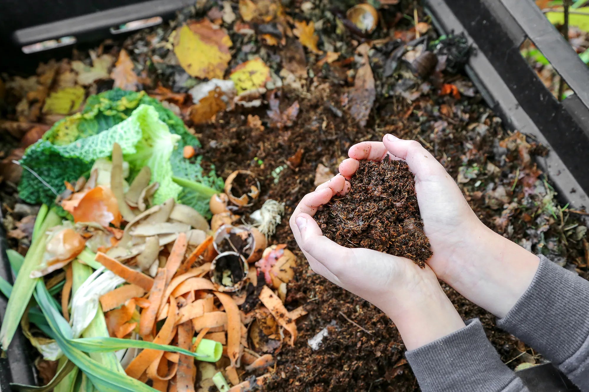 The Compost Company | Nashville's Full-Circle Composting Solution